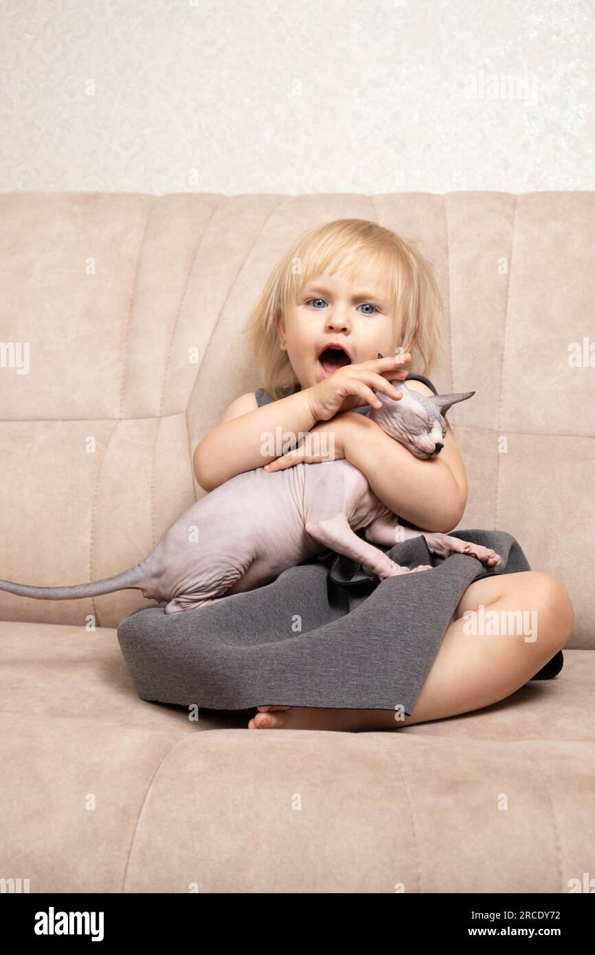 Cute little two-year-old girl hugging a Canadian Sphynx cat. Children's ...