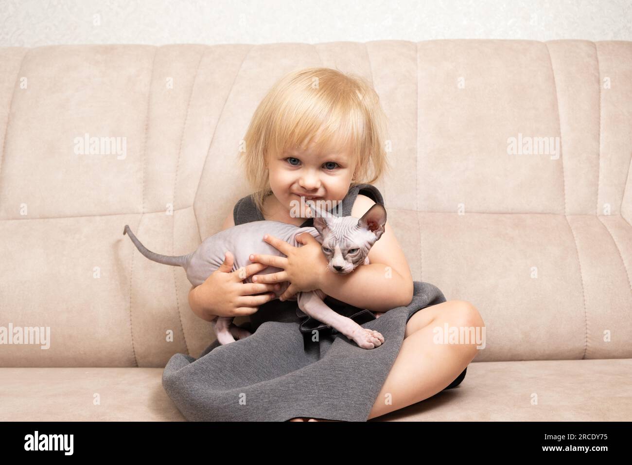 Cute little two-year-old girl hugging a Canadian Sphynx cat. Children's ...