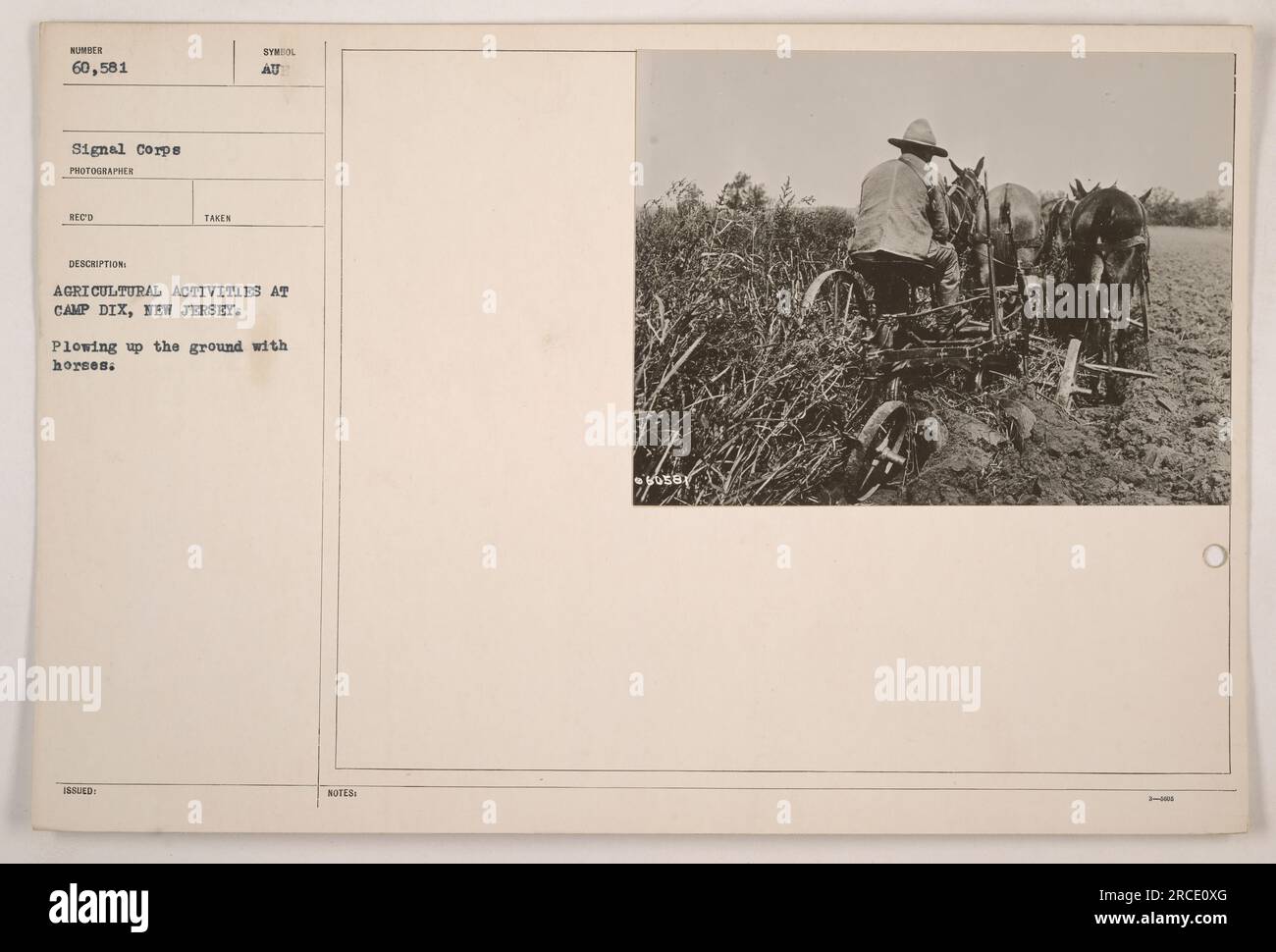 New jersey ww1 activities hi-res stock photography and images - Alamy