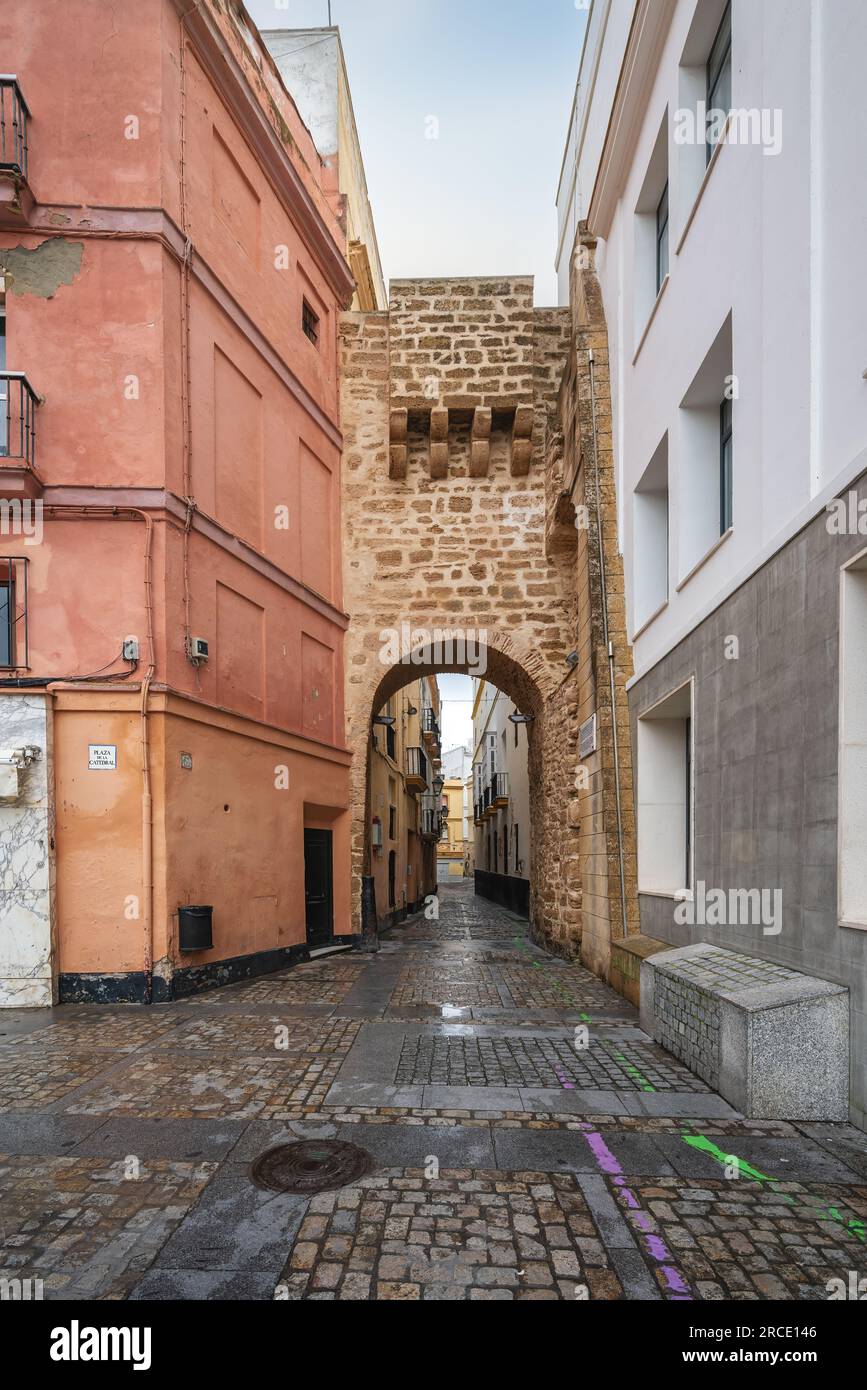 Arco de rosa hi-res stock photography and images - Alamy