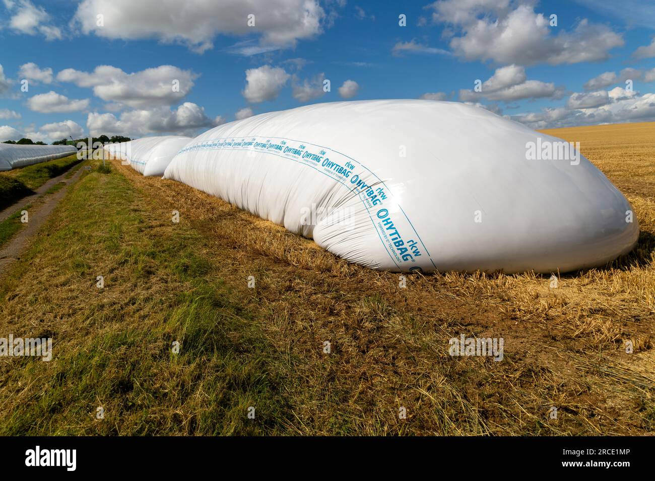 HYTIBAG grain silo bags in cereal field, near Hungerford, Berkshire ...