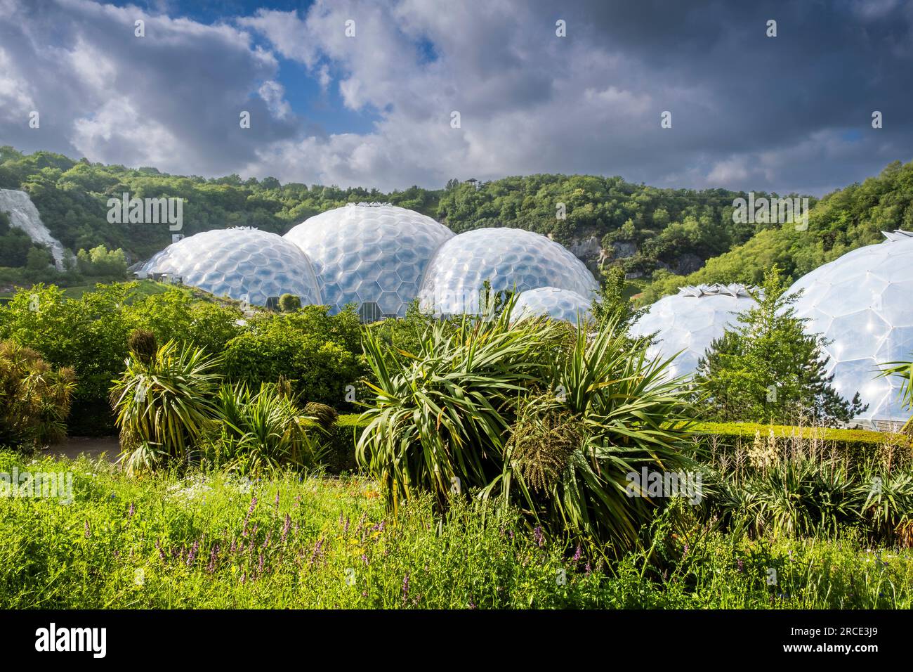 Eden Project Geodesic Domes