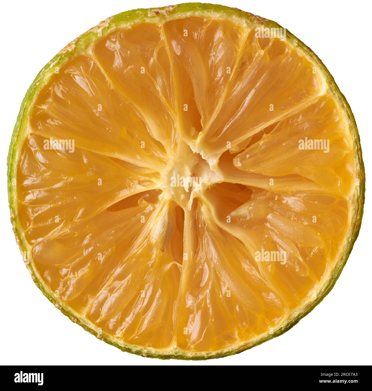 Lemon slice macro slice seed hi-res stock photography and images - Alamy