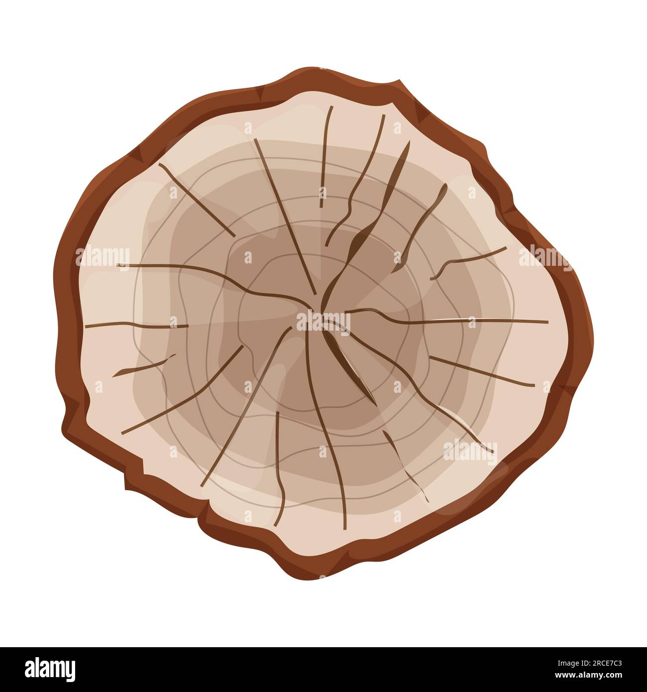 Cross section of tree stump in doodle style, textured aged log isolated ...
