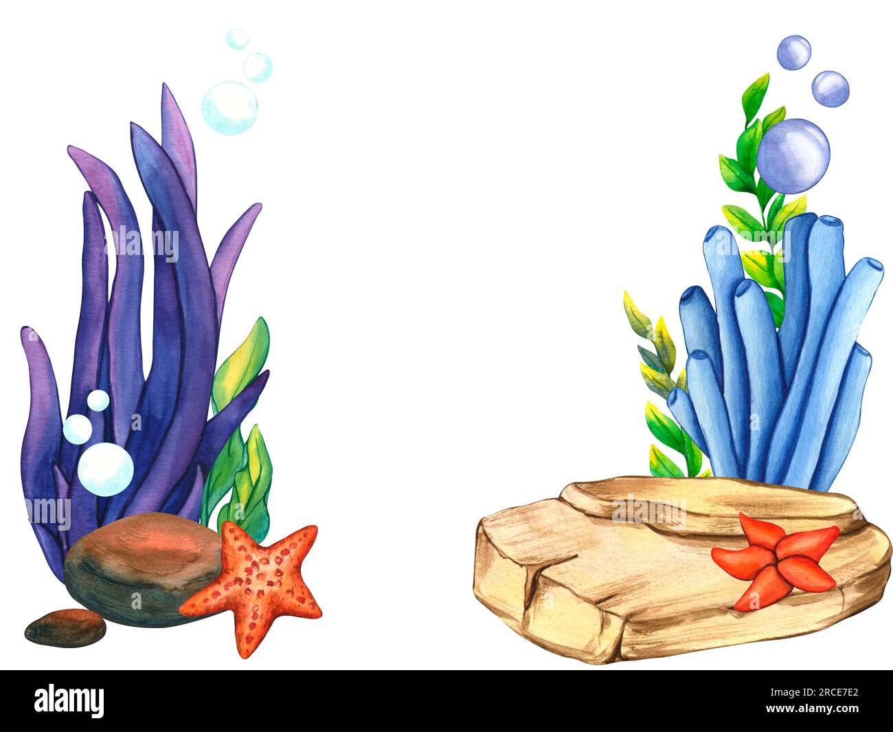 Watercolor stones, starfish and blue, violet seaweed. Illustrations ...