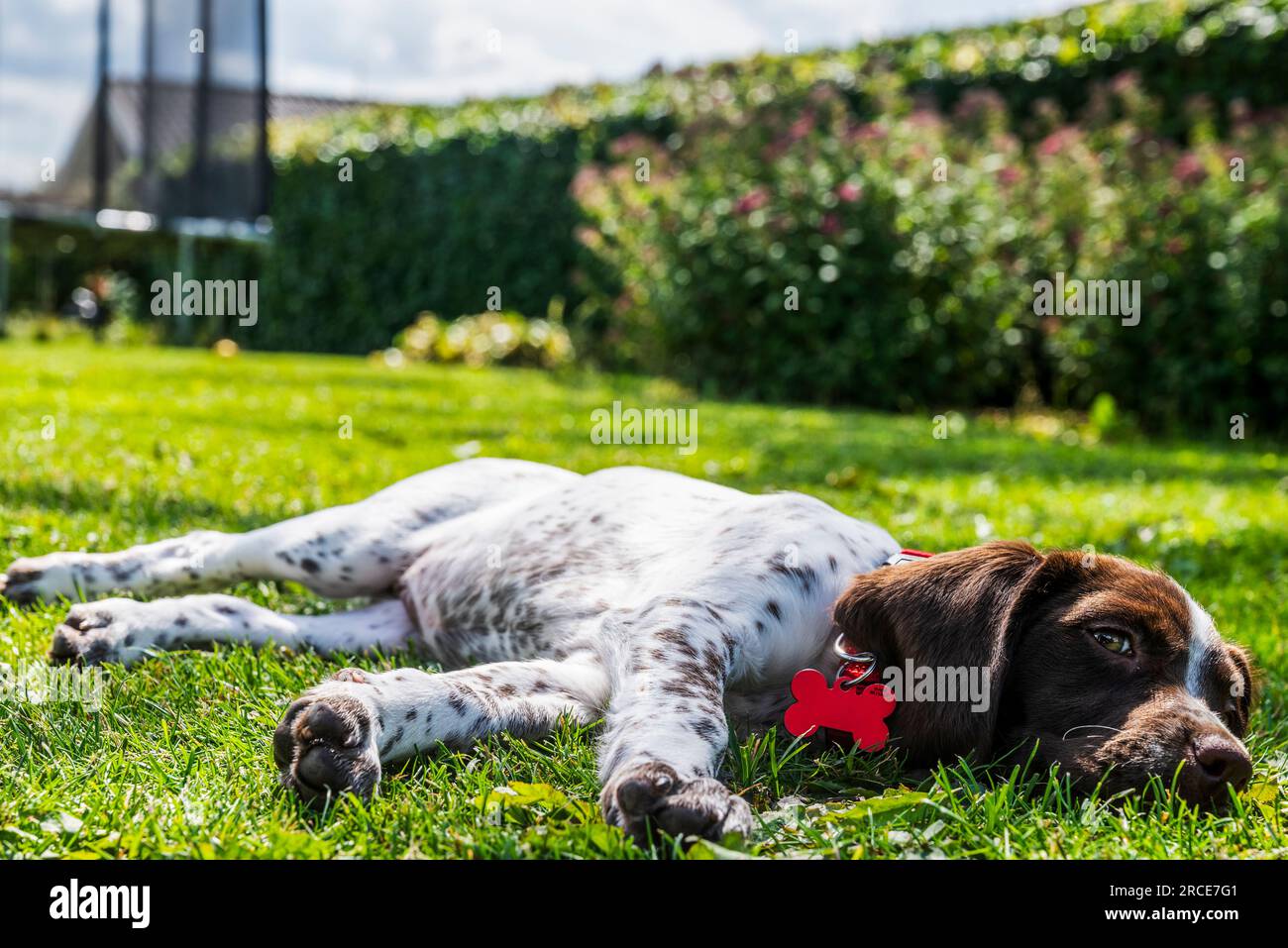 Tingbakken hi-res stock photography and images - Alamy