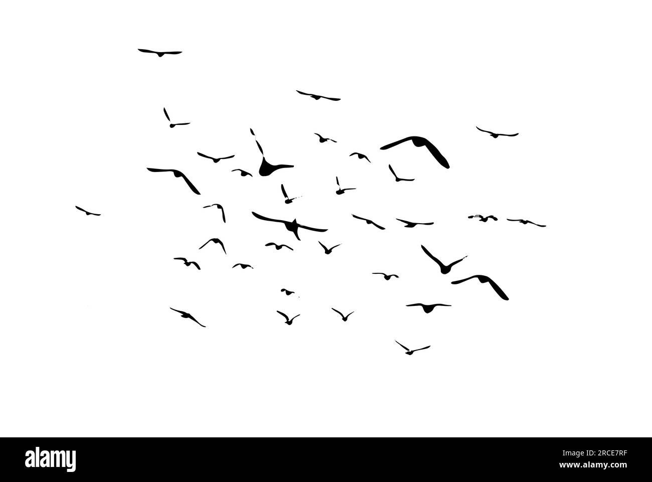 A flock of flying birds. Vector illustration Stock Vector Image & Art ...