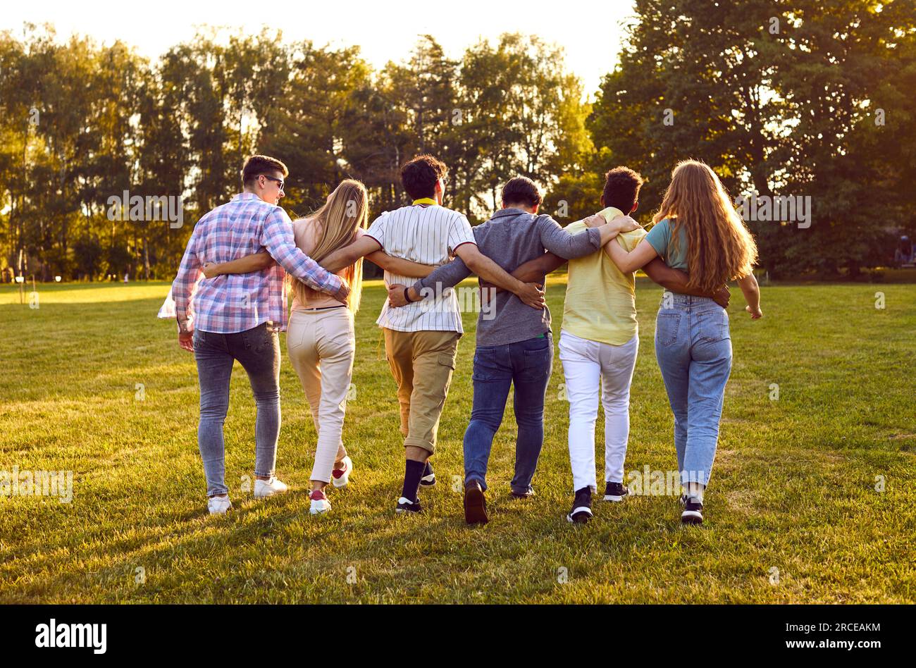 Back view of a group of happy friends standing in a row and hugging ...