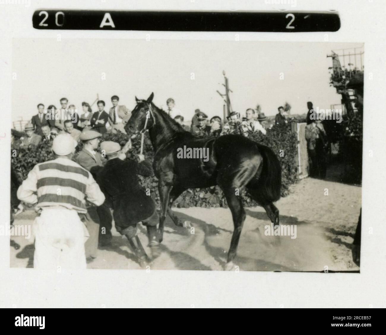 SS Photographer Ege (Germany and Sudetenland) Local populace in ...
