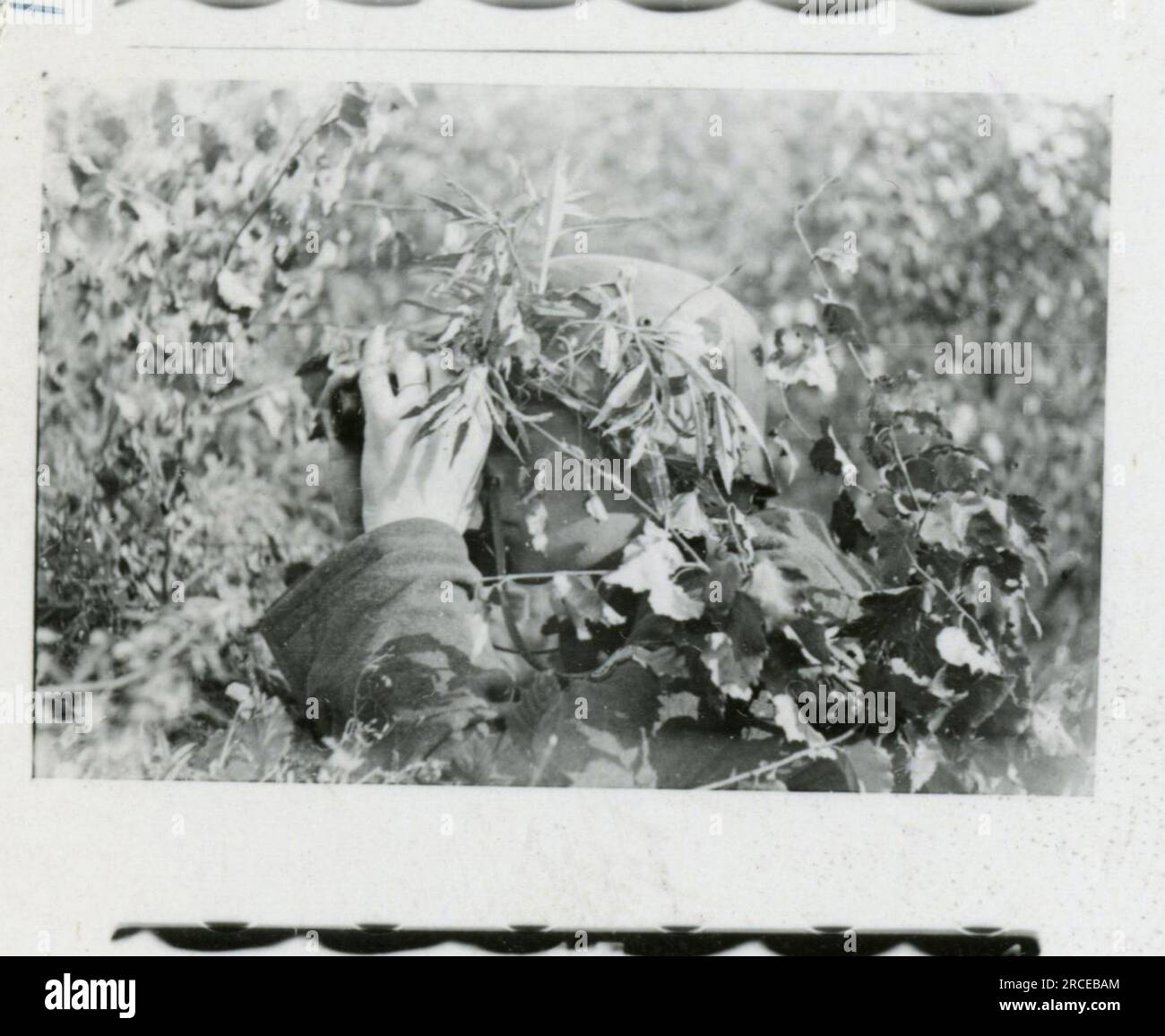 SS Photographer Eines Norwegian SS 1943 Field training, enlistment ...