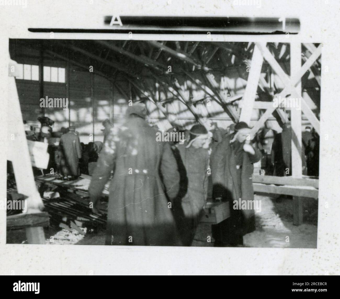 SS Photographer Eines Norwegian SS 1943 Field training, enlistment ...