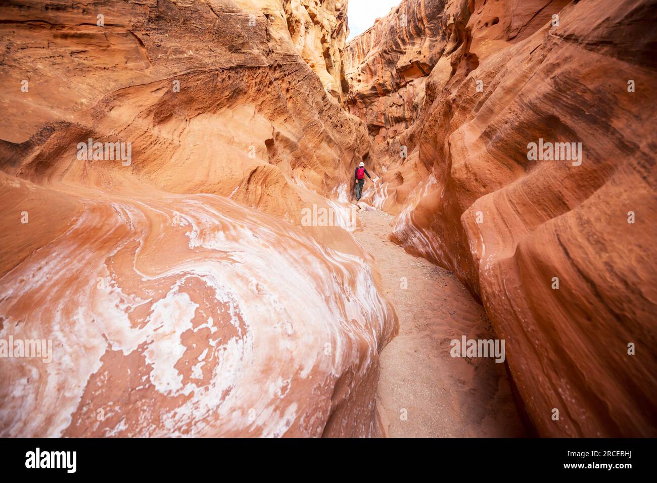 Slot canyon in Grand Staircase Escalante National park, Utah, USA ...