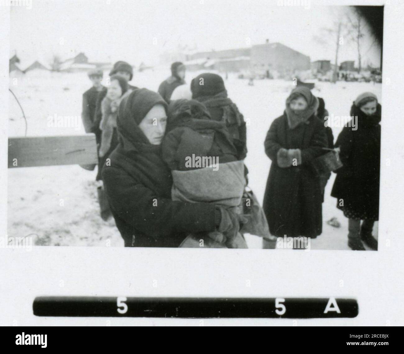 SS Photographer Eines Norwegian SS 1943 Field training, enlistment ...