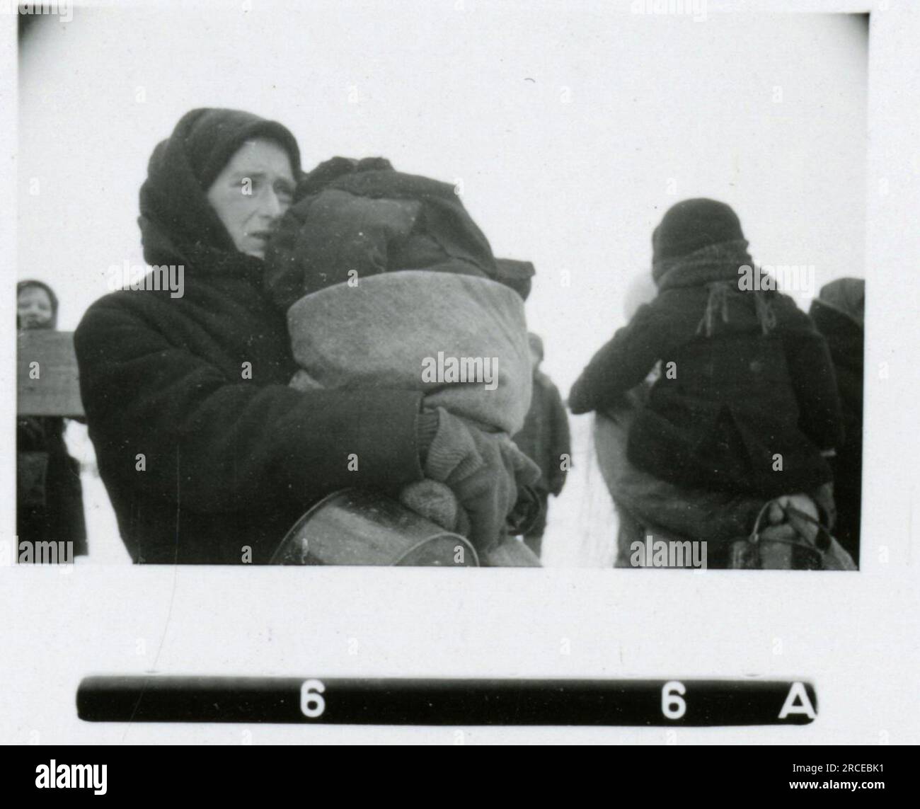 SS Photographer Eines Norwegian SS 1943 Field training, enlistment ...
