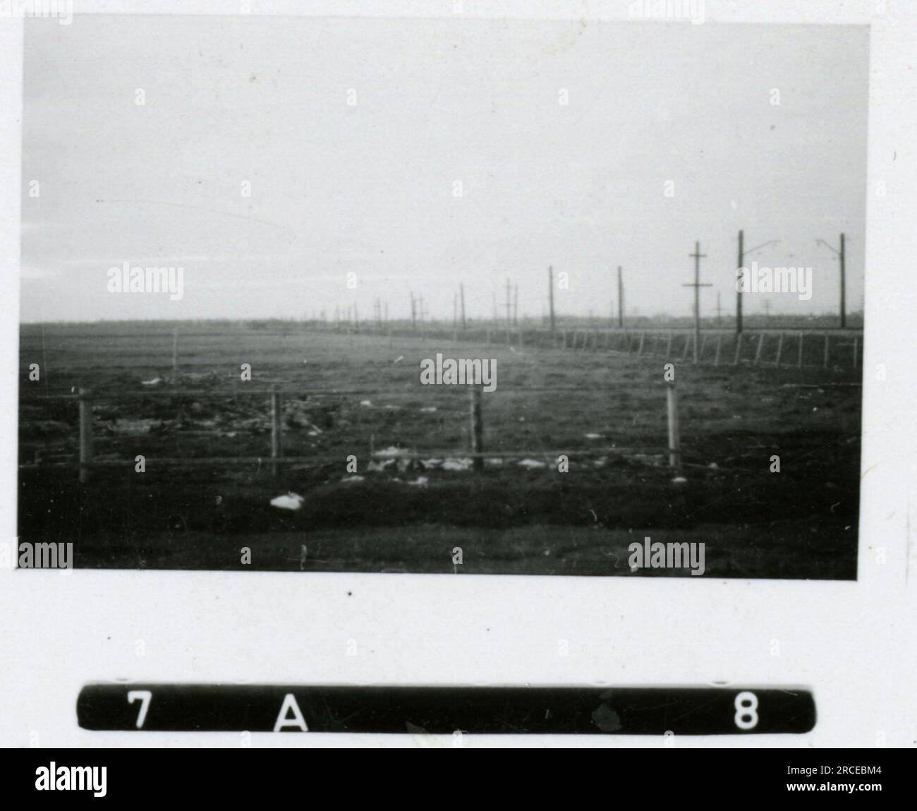 SS Photographer Eines Norwegian SS 1943 Field training, enlistment ...