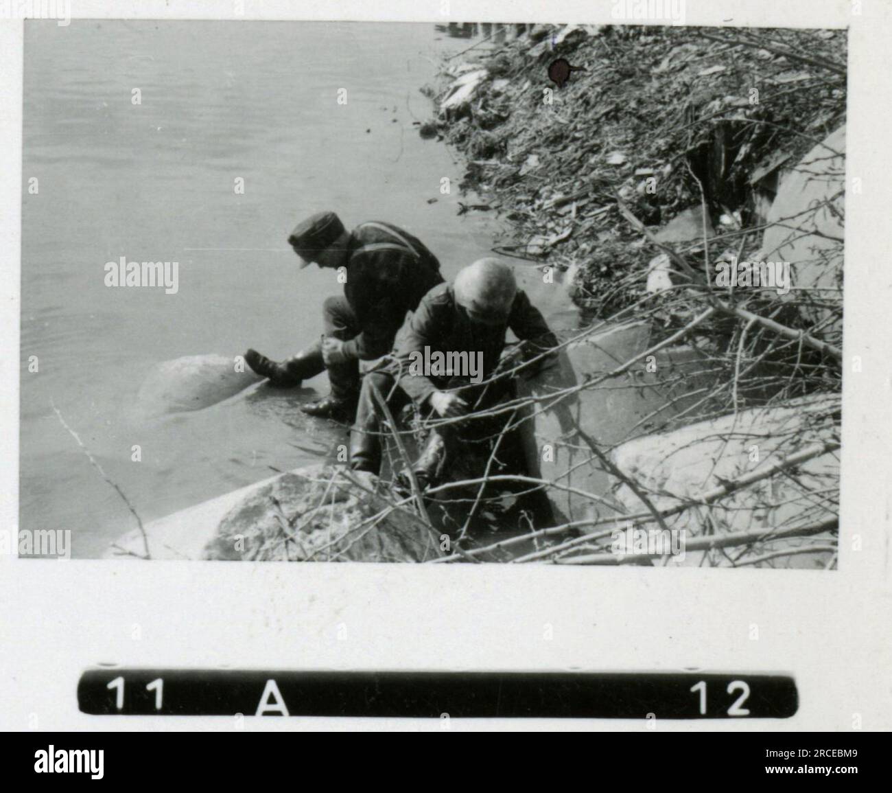 SS Photographer Eines Norwegian SS 1943 Field training, enlistment ...