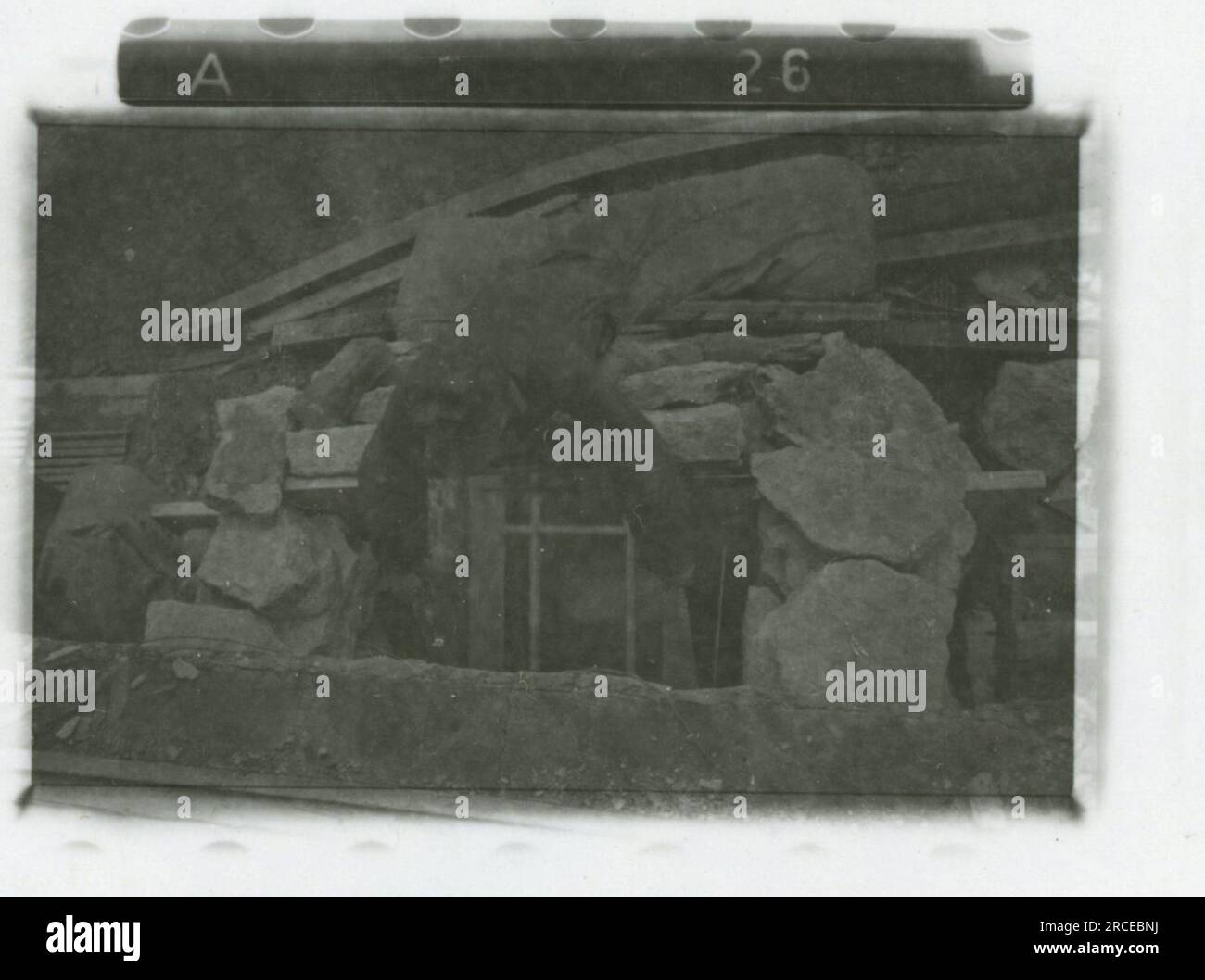 SS Photographer Einser Denmark (Frikorps Danmark) SS 1944 City scenes ...