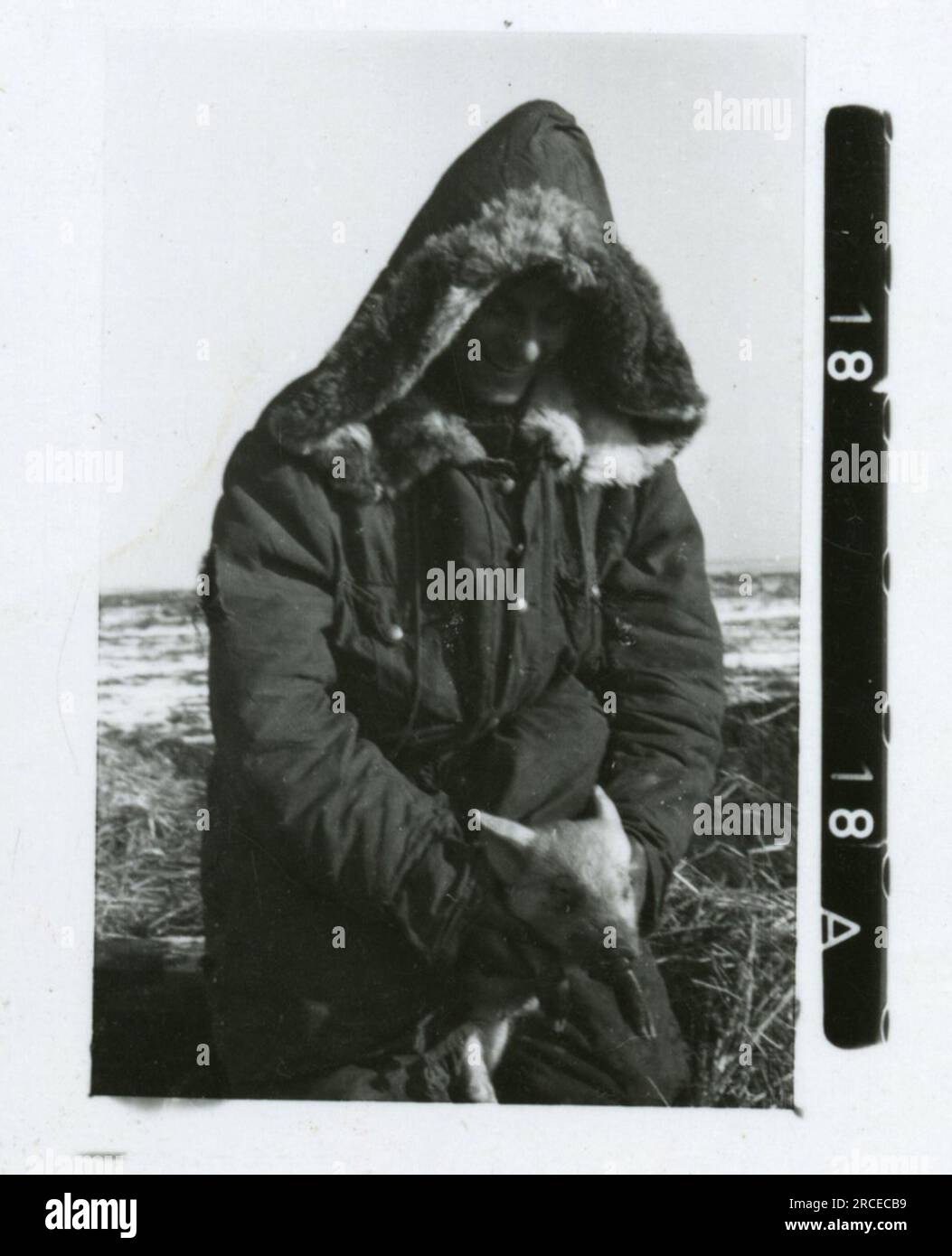 SS Photographer Fabiger, SS-Panzerkorps, Narva, 1944 Daily activities, unit in winter position ...