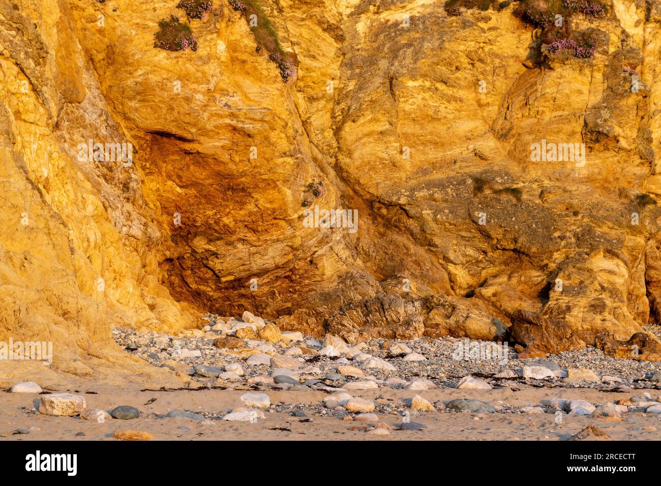 Golden cliffs at Church Bay, Anglesey, North Wales Stock Photo - Alamy