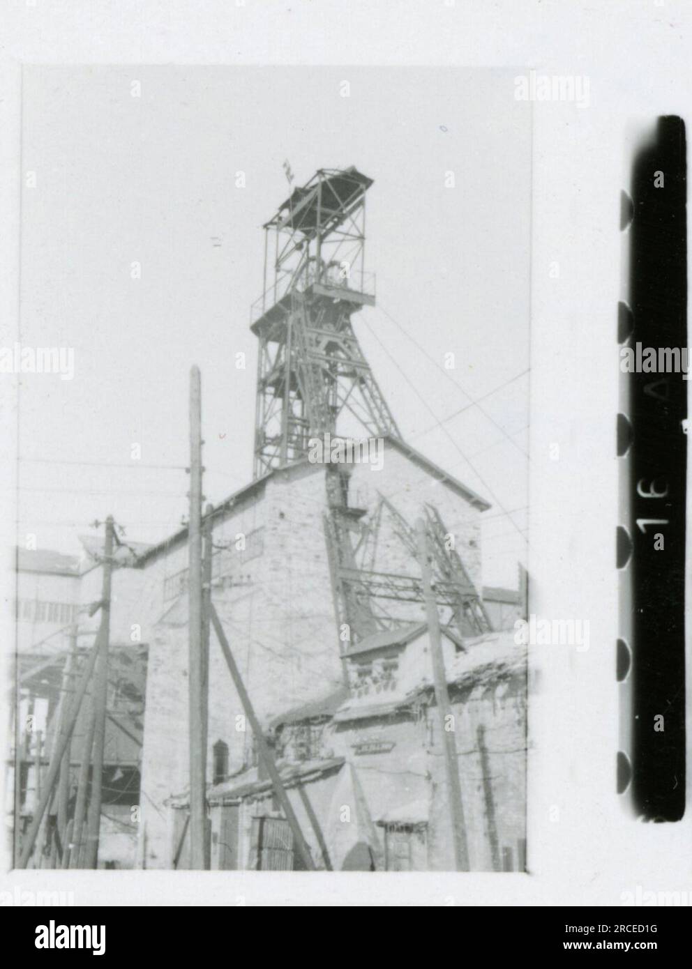 SS Photographer Falkowski (1943) Individual soldier portrait photos ...