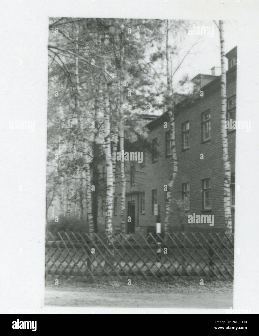 SS Photographer Falkowski (1943) Individual soldier portrait photos ...