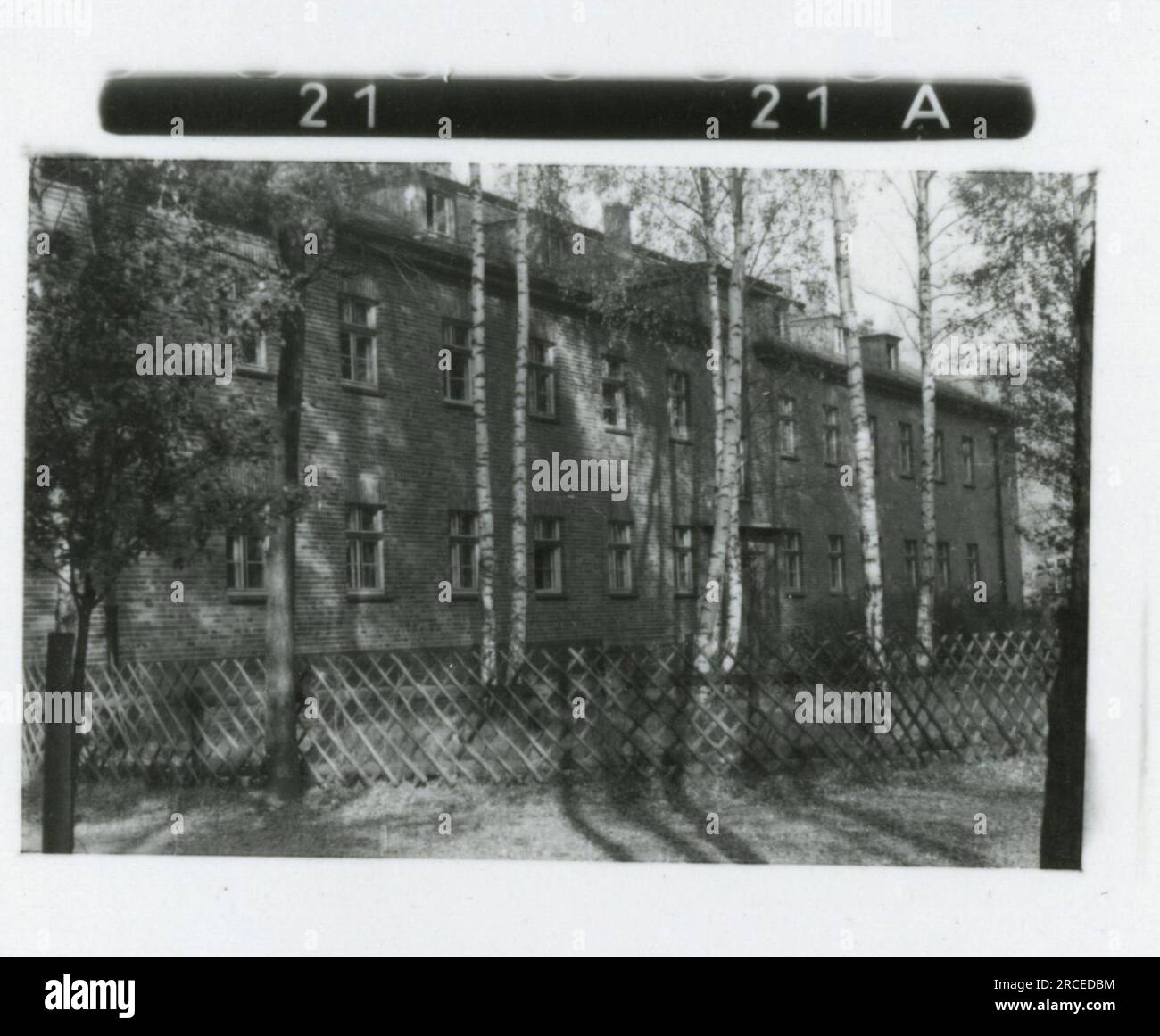 SS Photographer Falkowski (1943) Individual soldier portrait photos ...