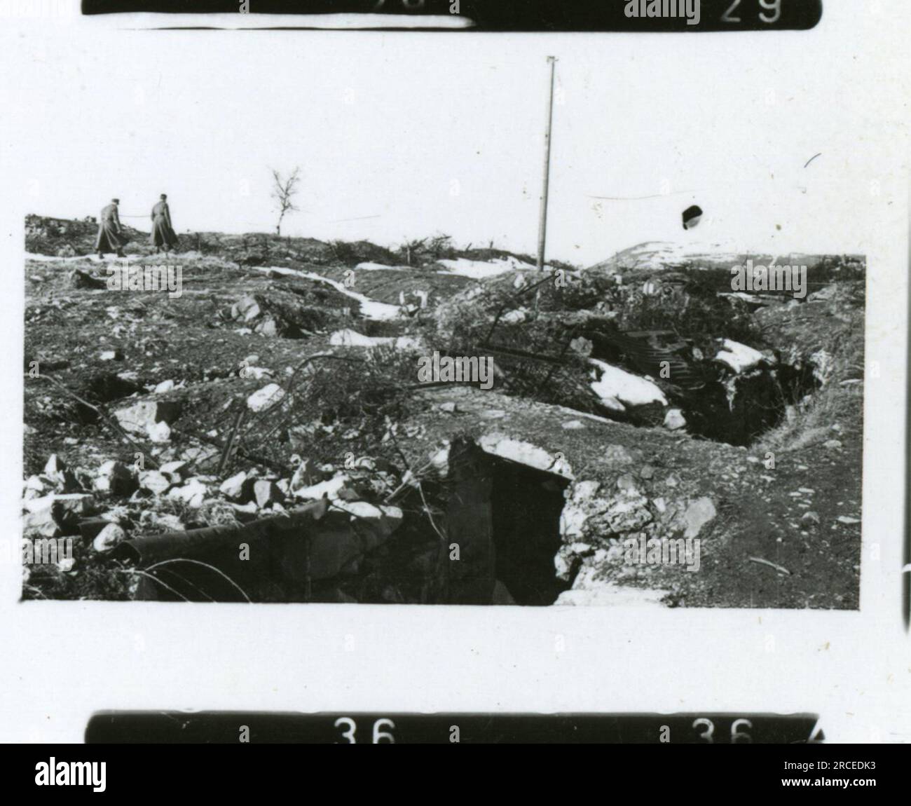 SS Photographer Falkowski (1943) Individual soldier portrait photos ...