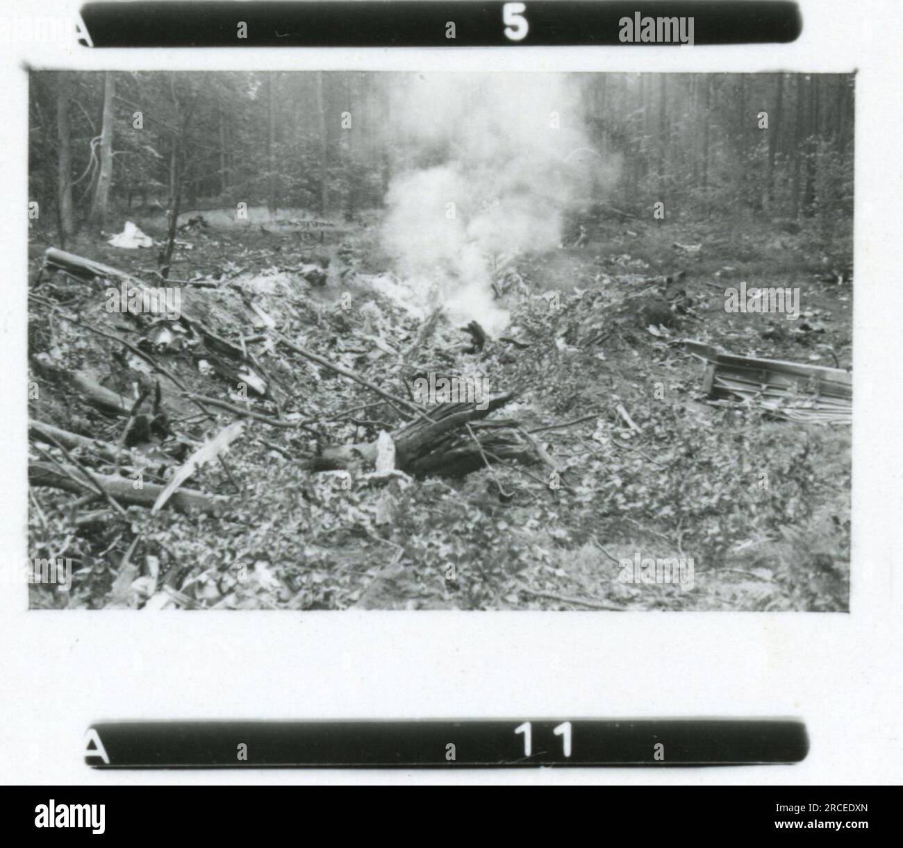 SS Photographer Feder 1943 & 1944 Remains of crashed aircraft, many ...