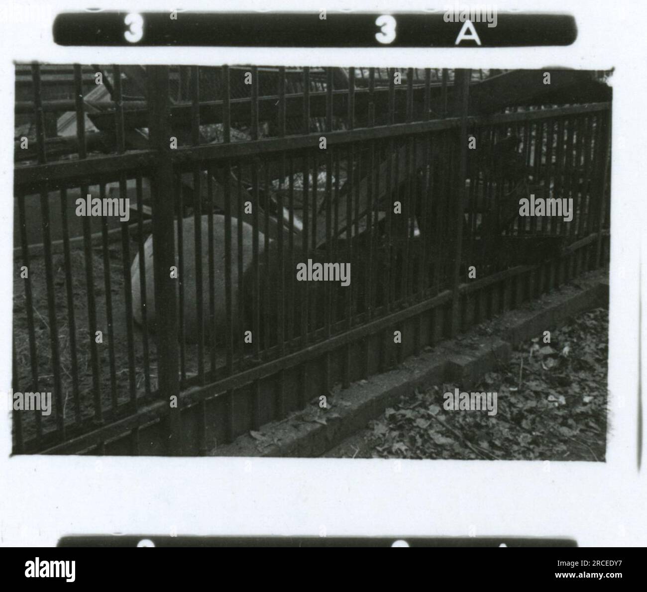 SS Photographer Feder 1943 & 1944 Remains of crashed aircraft, many ...