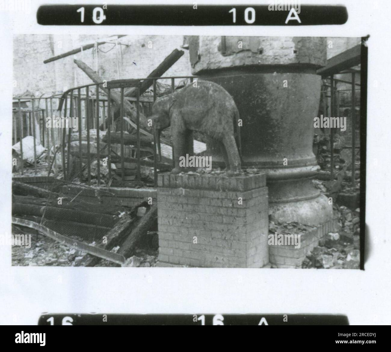 SS Photographer Feder 1943 & 1944 Remains of crashed aircraft, many ...