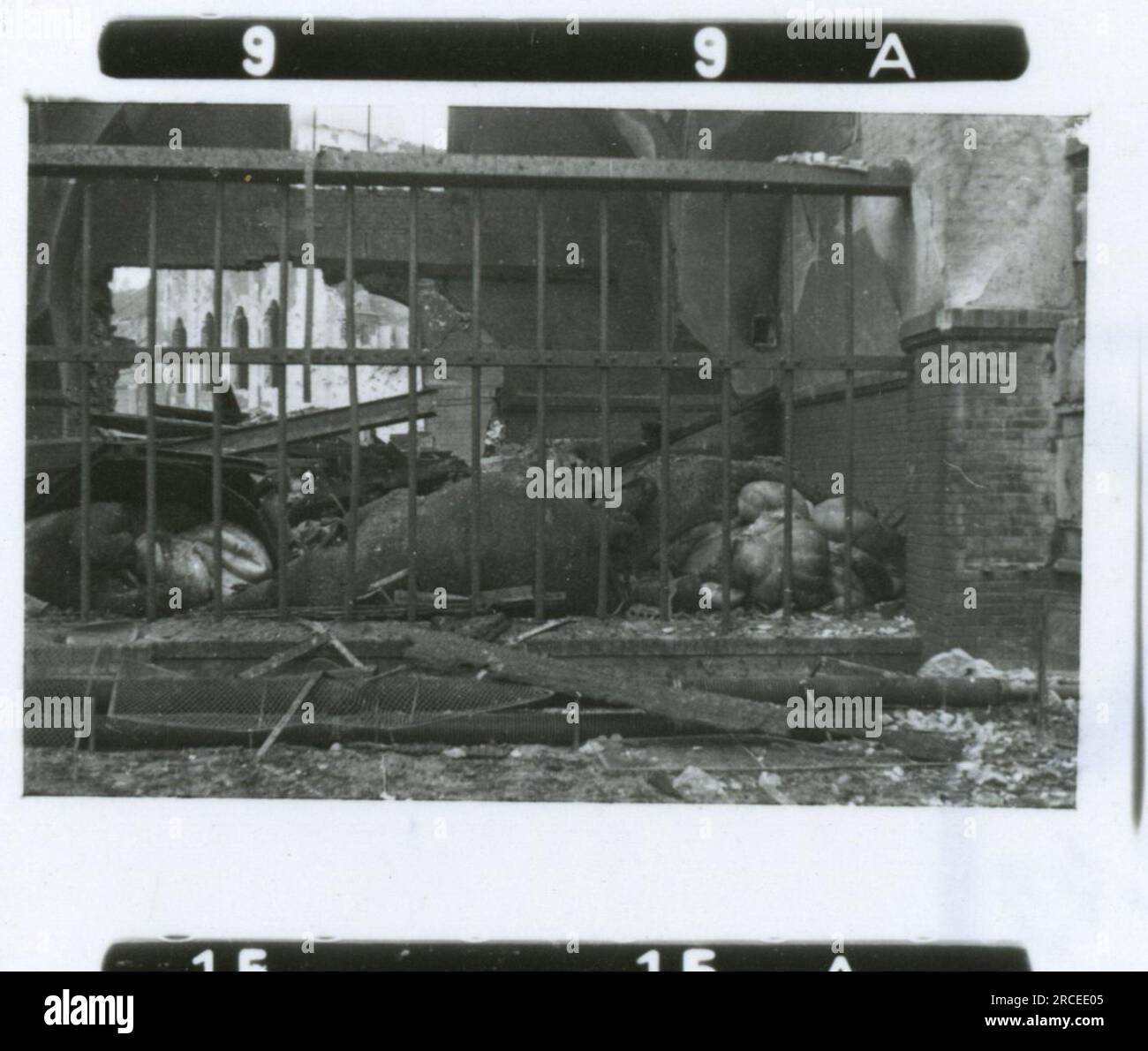 SS Photographer Feder 1943 & 1944 Remains of crashed aircraft, many ...