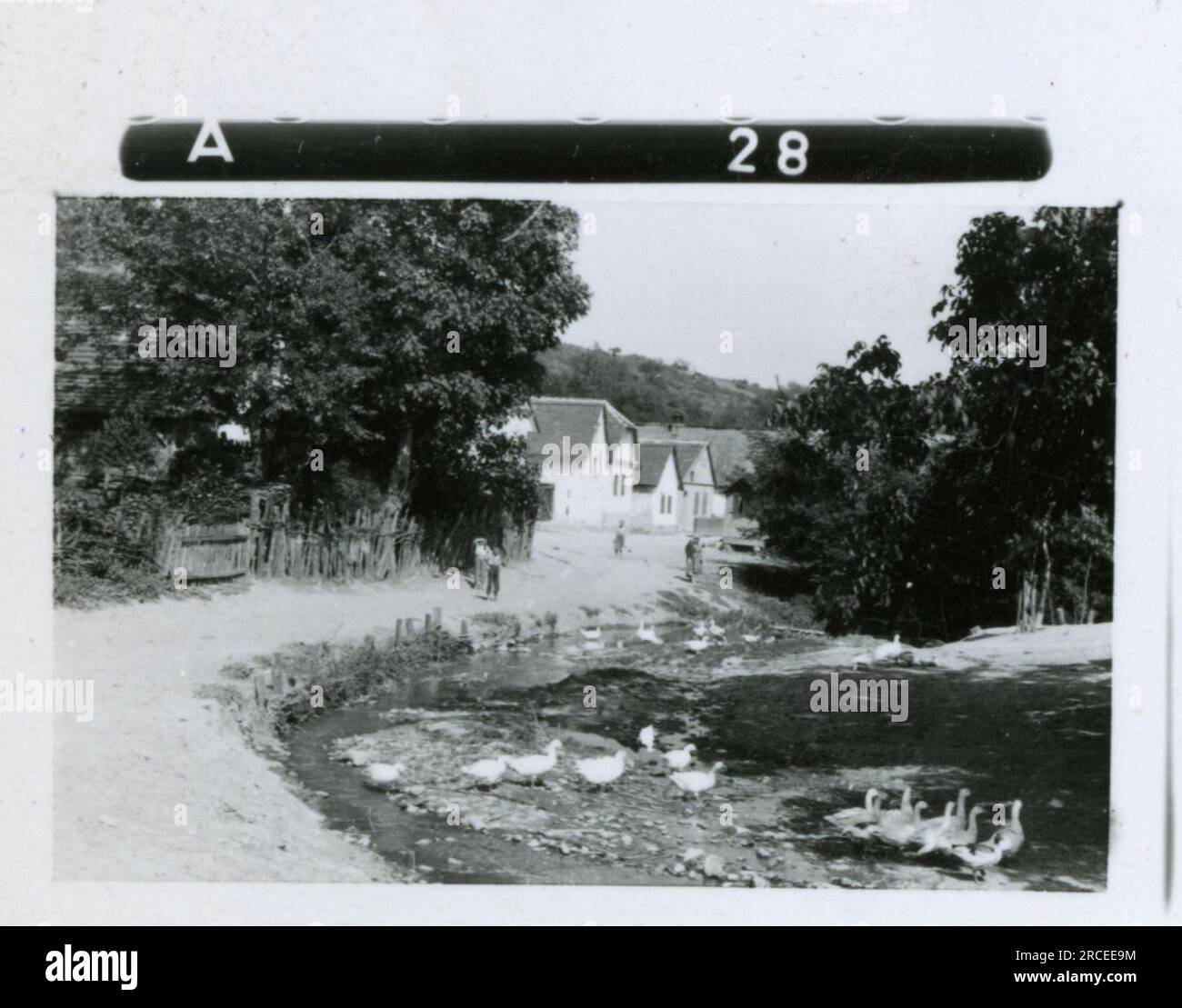 SS Photographer Dürr 1943 Domestic farm and city scenes in Germany ...