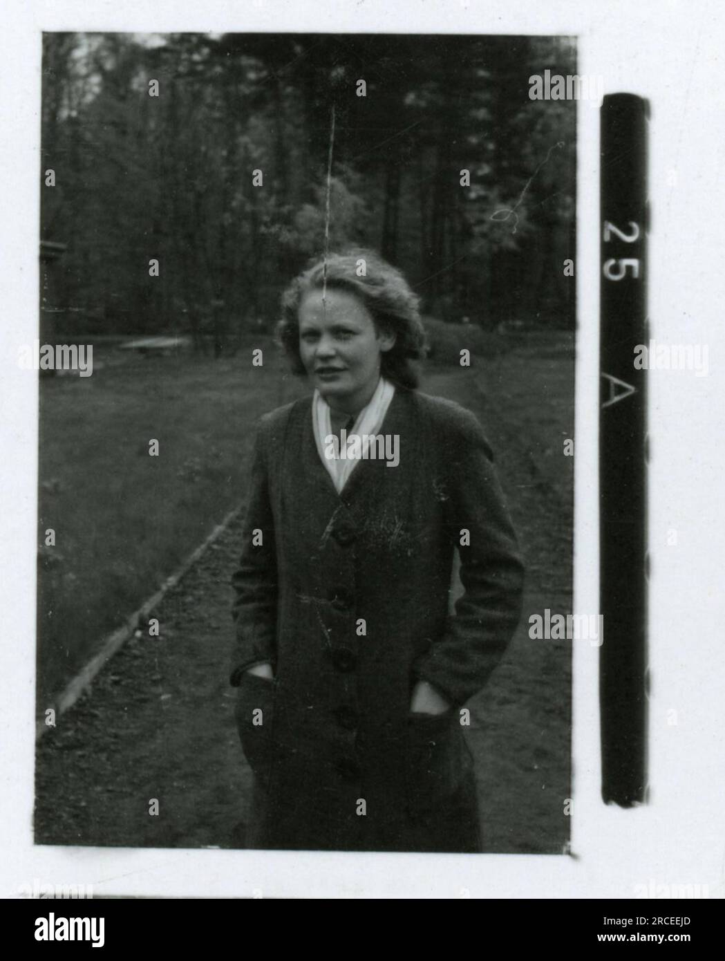 SS Photographer Feder 1943 & 1944 Remains of crashed aircraft, many ...