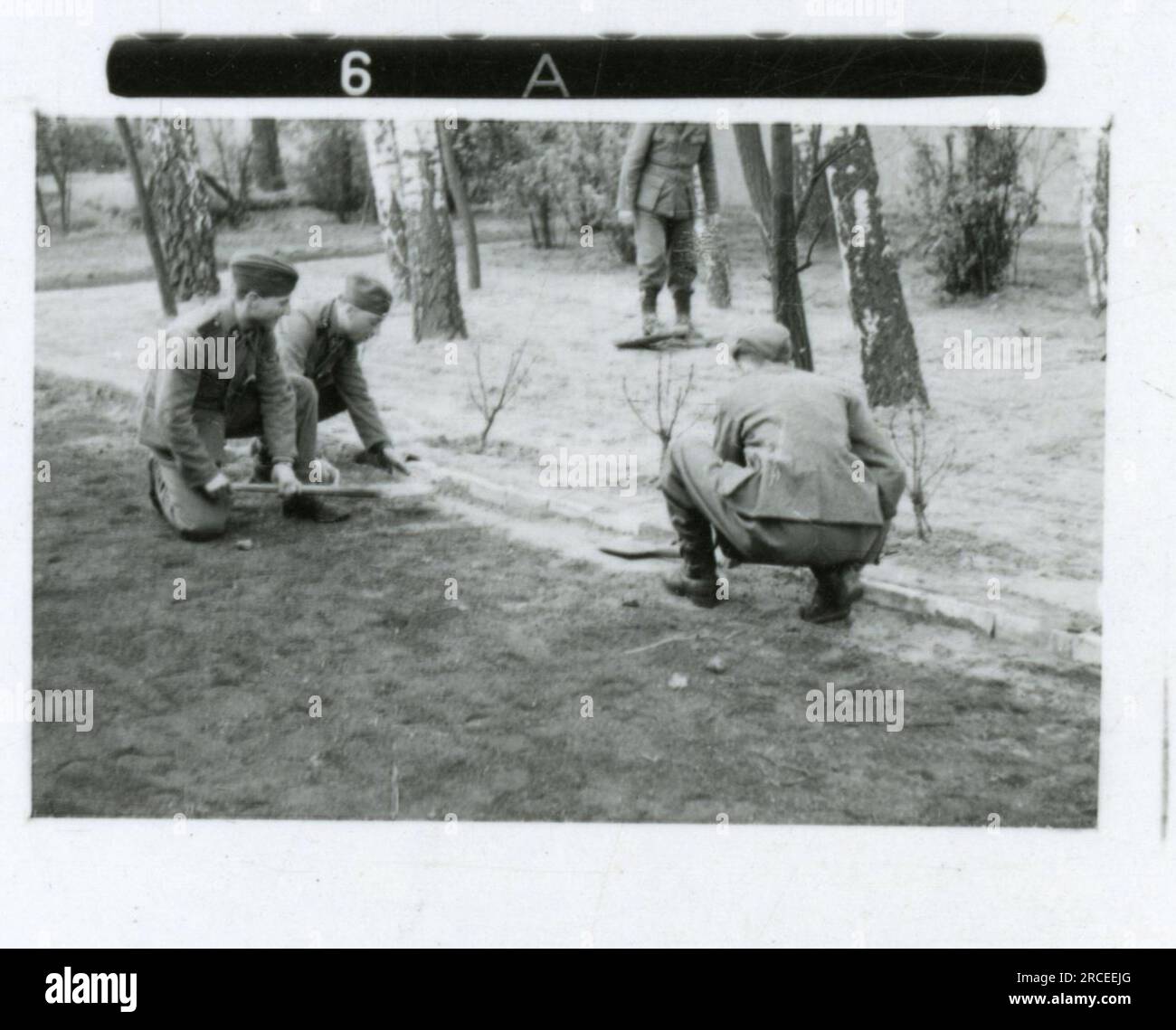 SS Photographer Feder 1943 & 1944 Remains of crashed aircraft, many individual soldier, officer ...