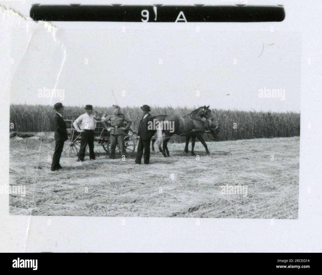 SS Photographer Dürr 1943 Domestic farm and city scenes in Germany ...