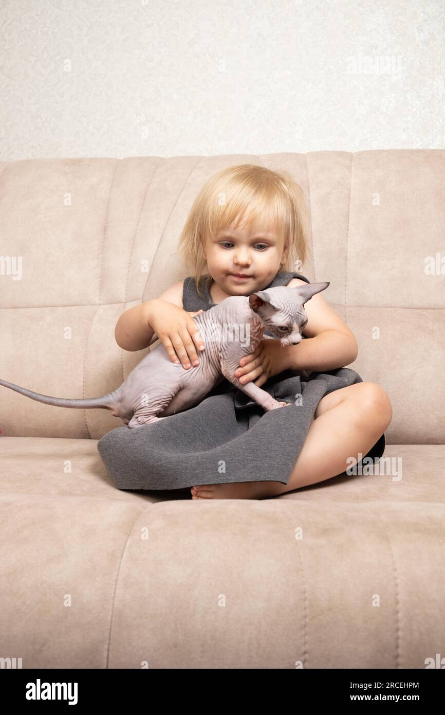 Cute little two-year-old girl hugging a Canadian Sphynx cat. Children's ...