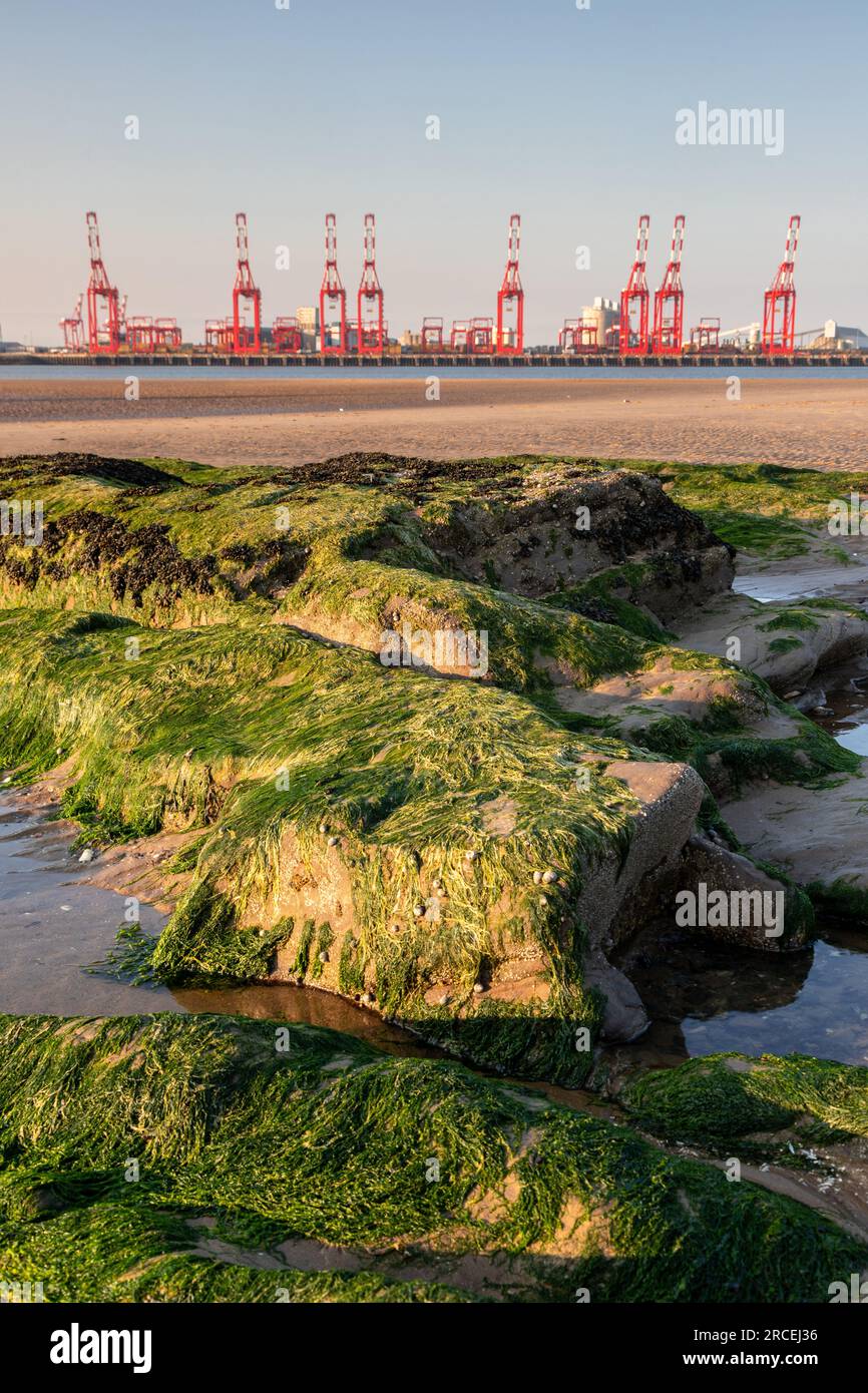 Liverpool 2 container terminal cranes and New Brighton beach ...