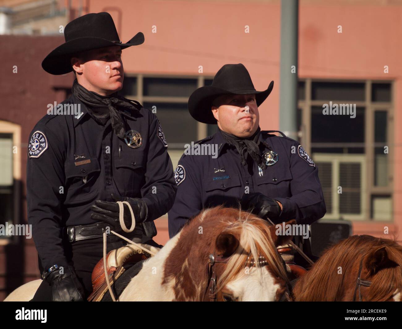 Blue horse white police hi-res stock photography and images - Alamy