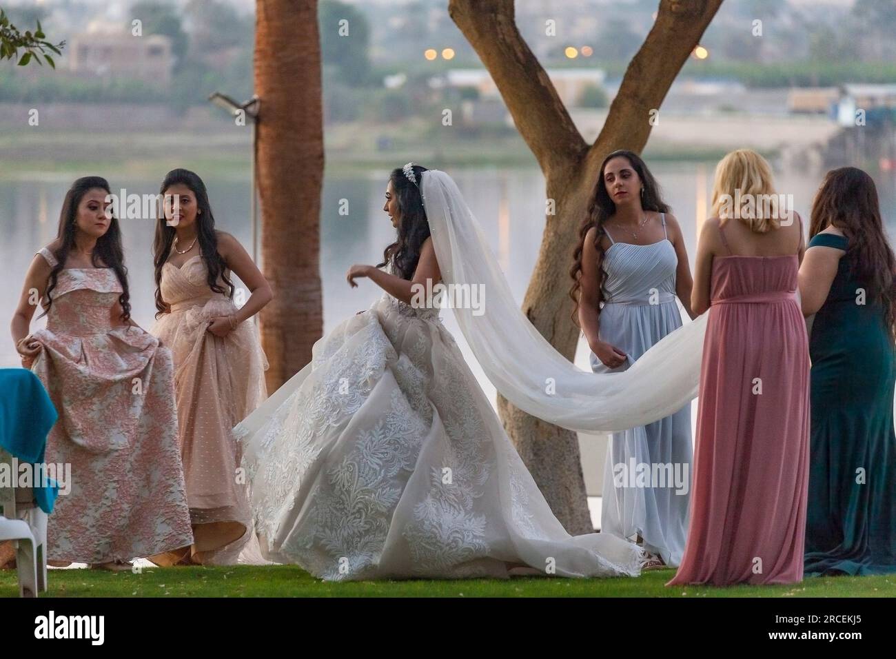 Egyptian Wedding Line Up