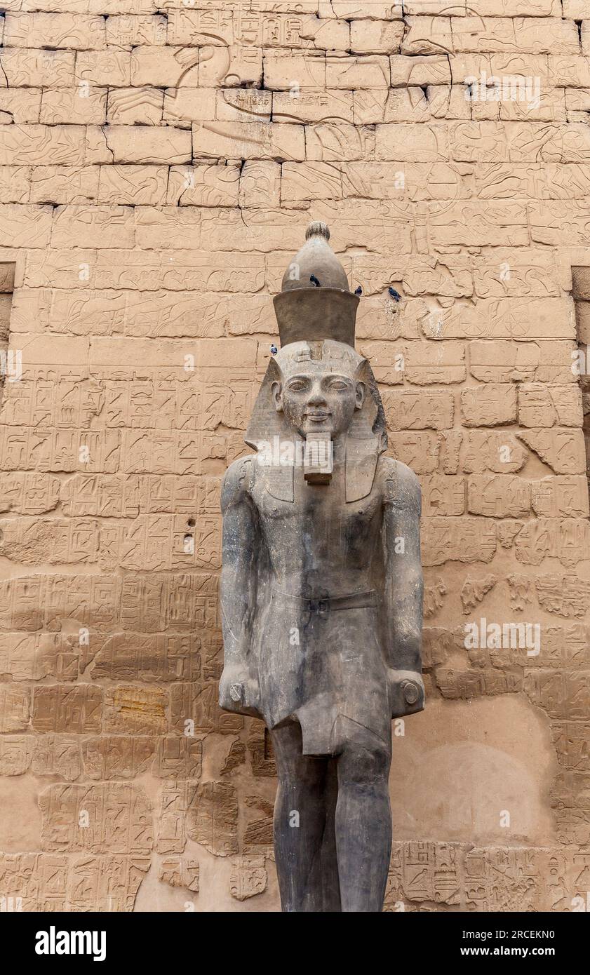 Pharaoh rameses ii statue hi-res stock photography and images - Alamy
