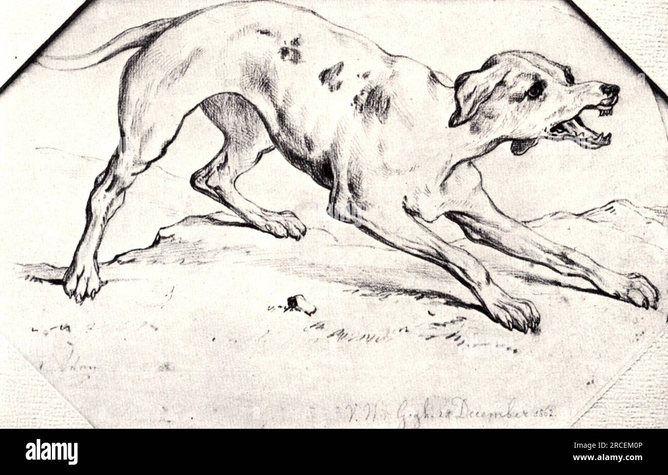 Van gogh animal hi-res stock photography and images - Alamy
