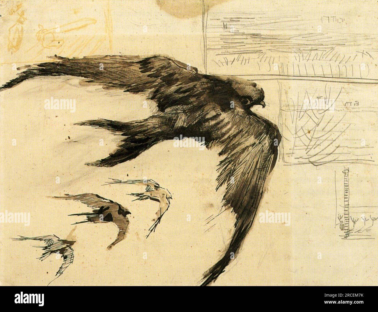 Four Swifts with Landscape Sketches 1887; Paris, France by Vincent van ...