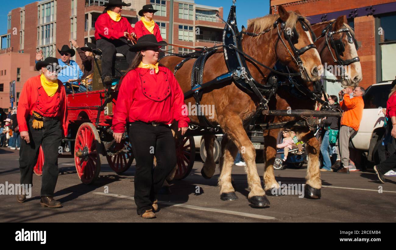 National Western Stock Show Parade Stock Photo - Alamy