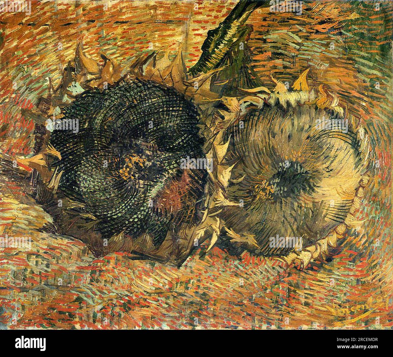 Girasoles De Van Gogh Para Amy VINCENT VAN GOGH ORIGINAL SUNFLOWER OIL