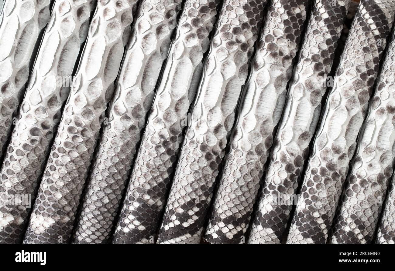 black and white snake background, reptile skin texture with scaly ...
