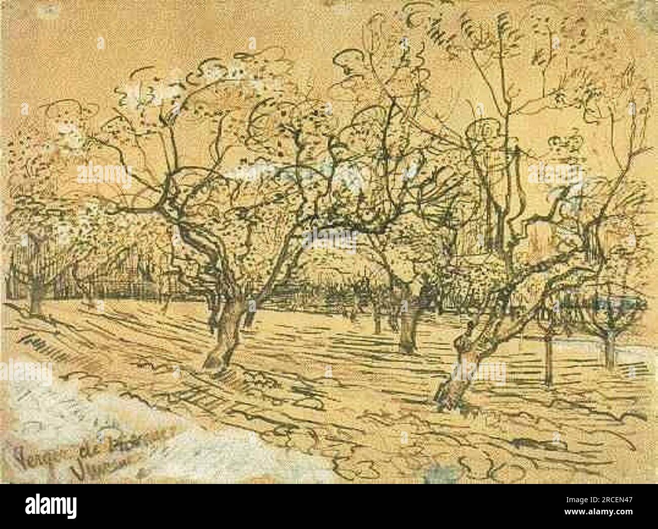 White orchard hi-res stock photography and images - Alamy