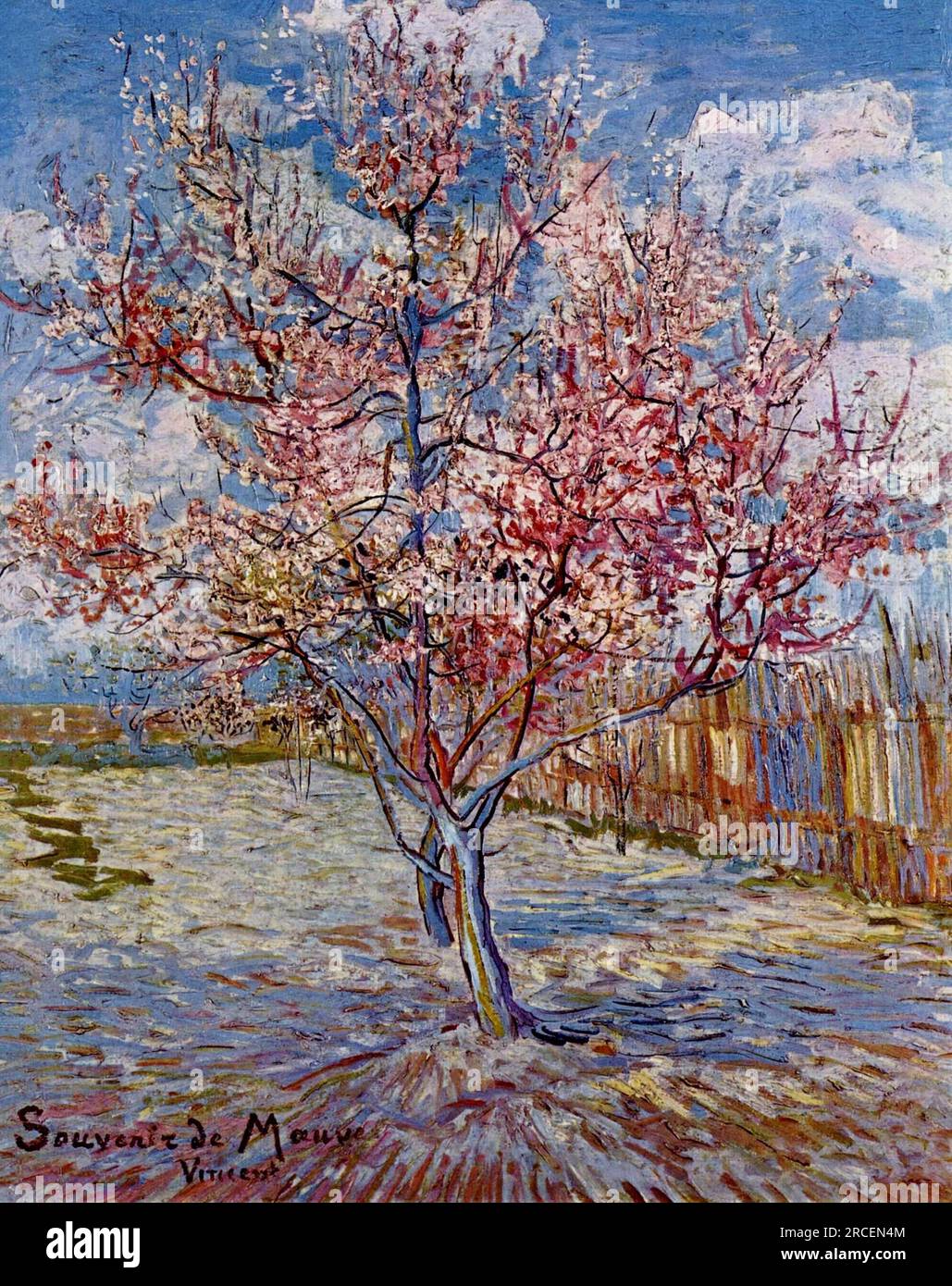 Peach Tree in Bloom (in memory of Mauve) 1888; Arles, Bouches-du-Rhône ...