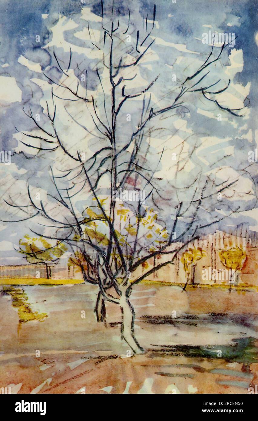 Pink Peach Trees 1888; Arles, Bouches-du-Rhône, France by Vincent van ...