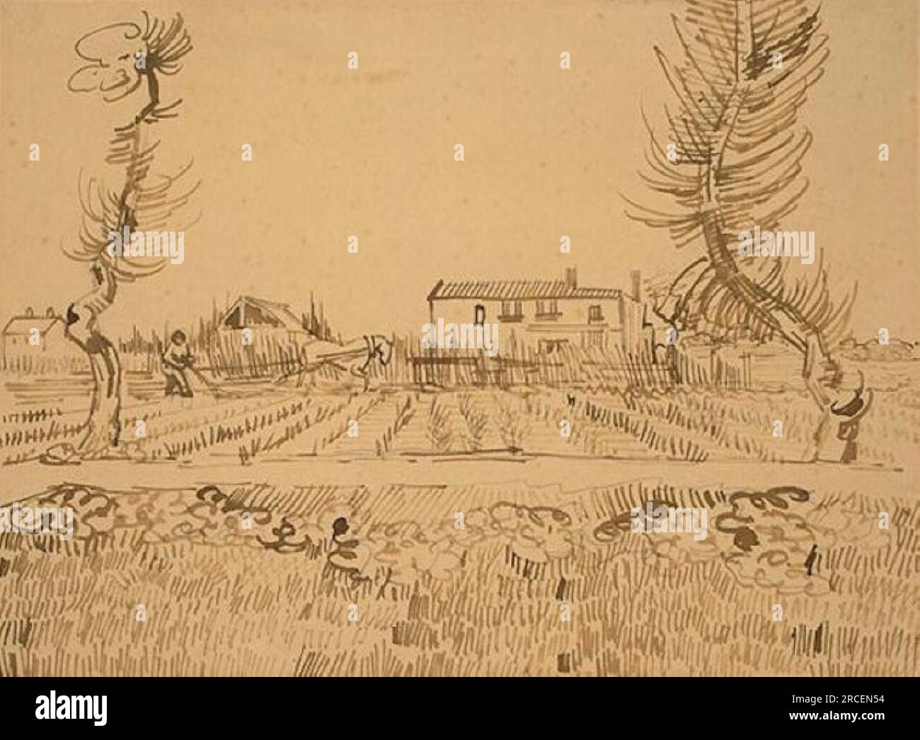 Ploughman in the Fields near Arles 1888; Arles, Bouches-du-Rhône ...