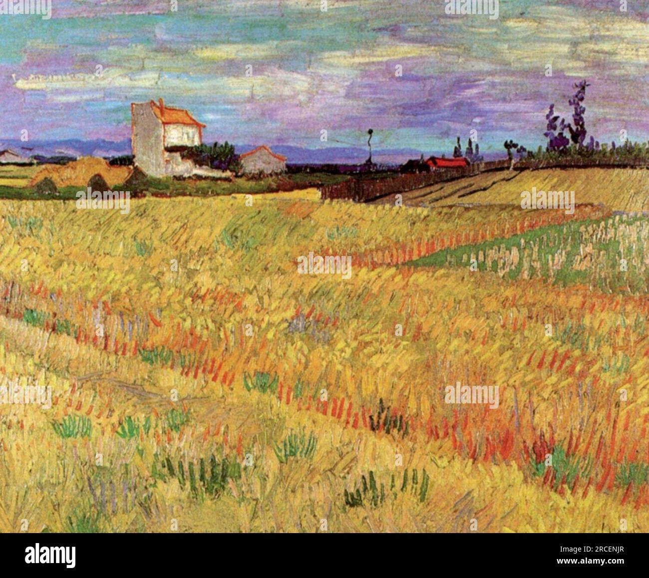 Wheat Field 1888; Arles, Bouches-du-Rhône, France by Vincent van Gogh ...